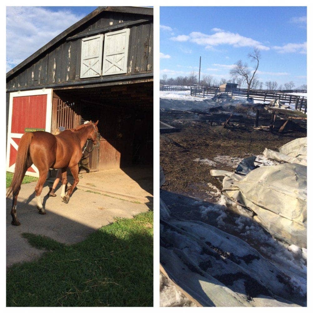 Fire At Old Friends Destroys Barn - Paulick Report | Latest news and ...