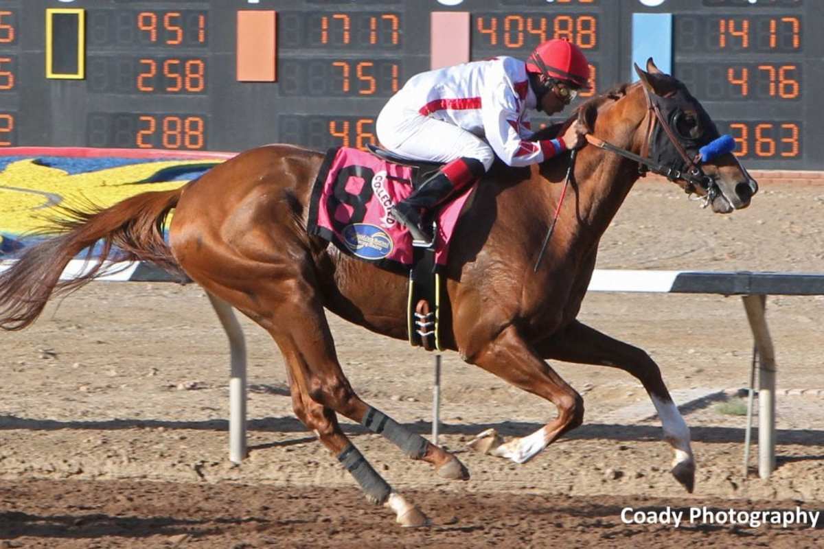 Collected Leads At Every Call In Sunland Festival Of Racing Stakes ...