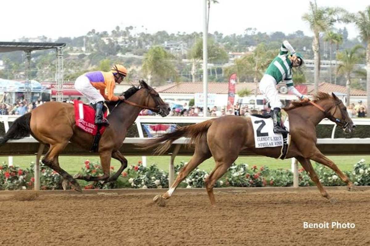 Stellar Wind Turns The Tables On Beholder In Thrilling Clement Hirsch ...