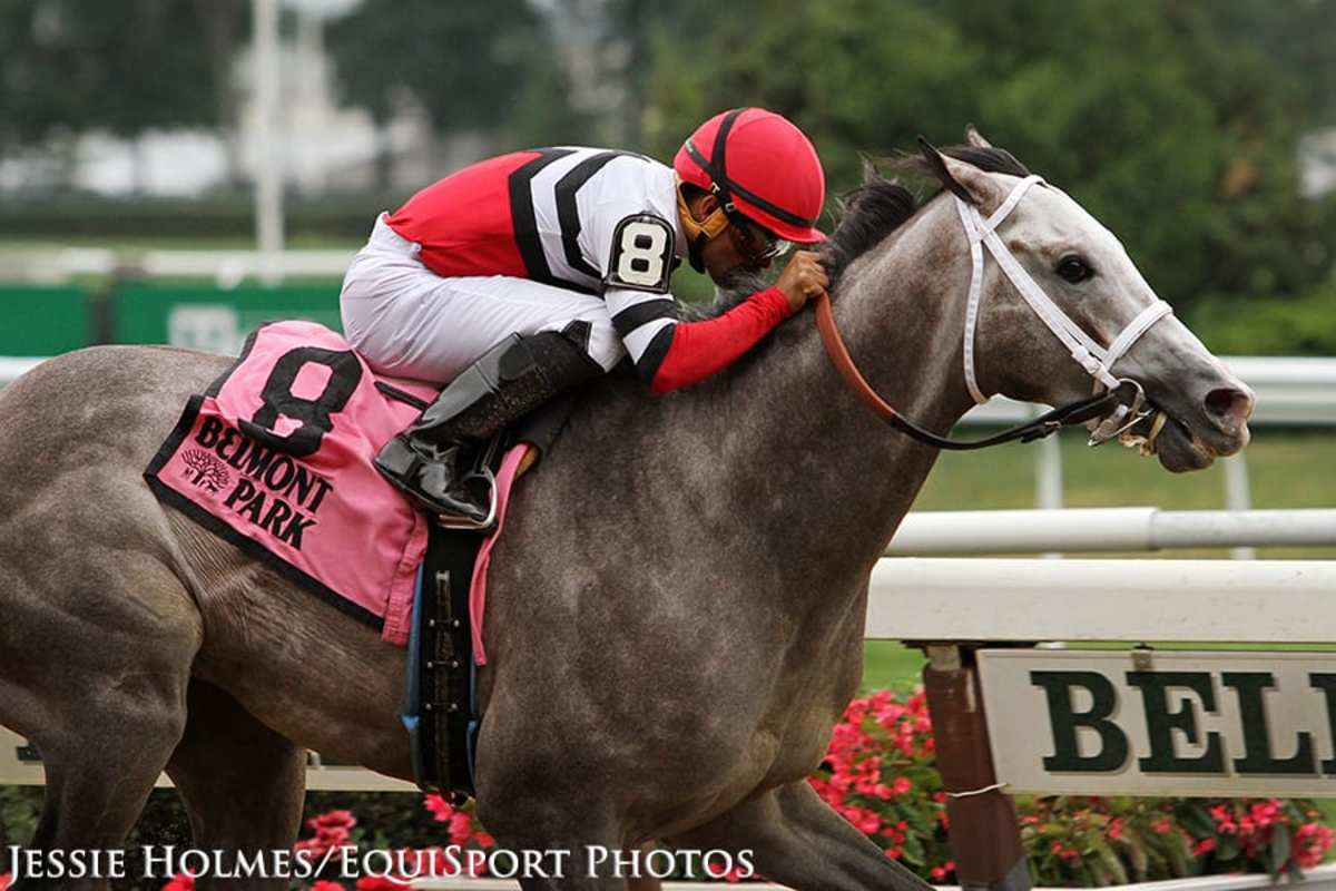 Fish Trappe Road Perfectly Ridden To Dwyer Victory - Paulick Report ...