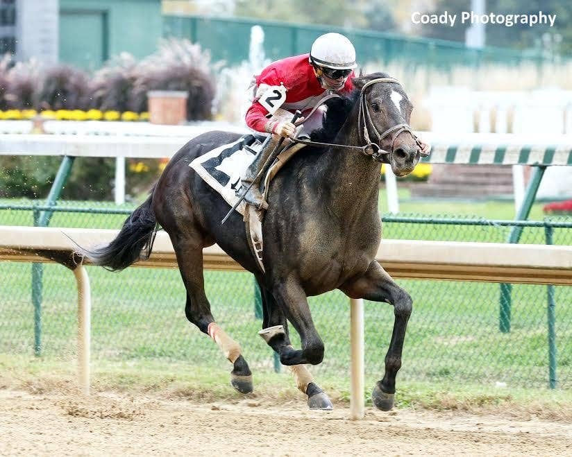 Wilkes Looking Forward To Starting 'Talented' McCraken In Kentucky ...