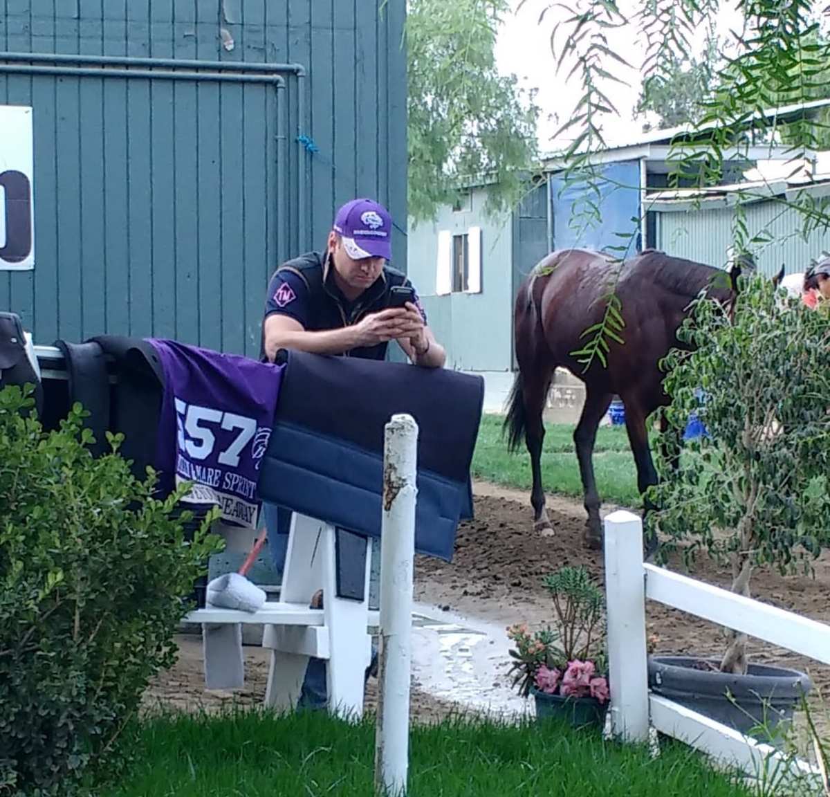 Breeders’ Cup Photo Blog Presented By TVG: Haveyougoneaway Is ‘Icing ...
