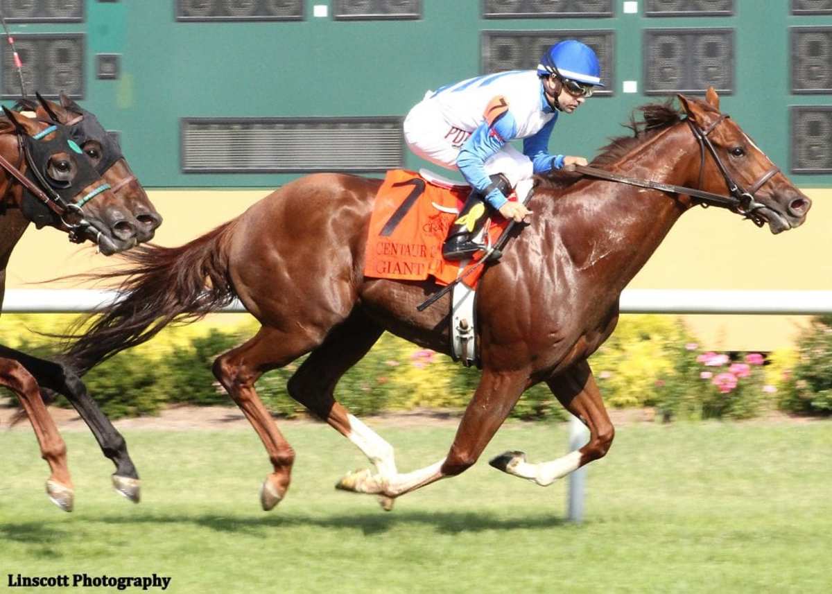 Giant Run, Queen Caroline Reign Supreme At Indiana Grand - Paulick ...