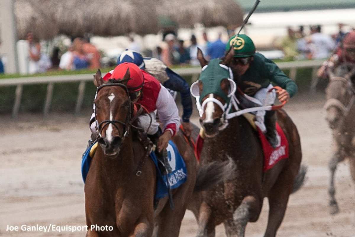 Go Maggie Go Determined In Gulfstream Park Oaks - Paulick Report ...