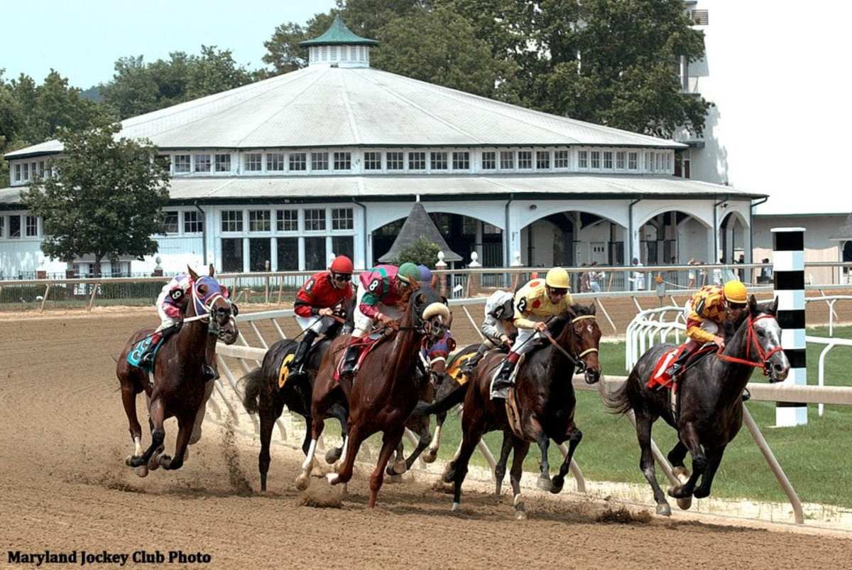 Report: Examination Of Laurel Surface Revealed Problems As Far Back As ...