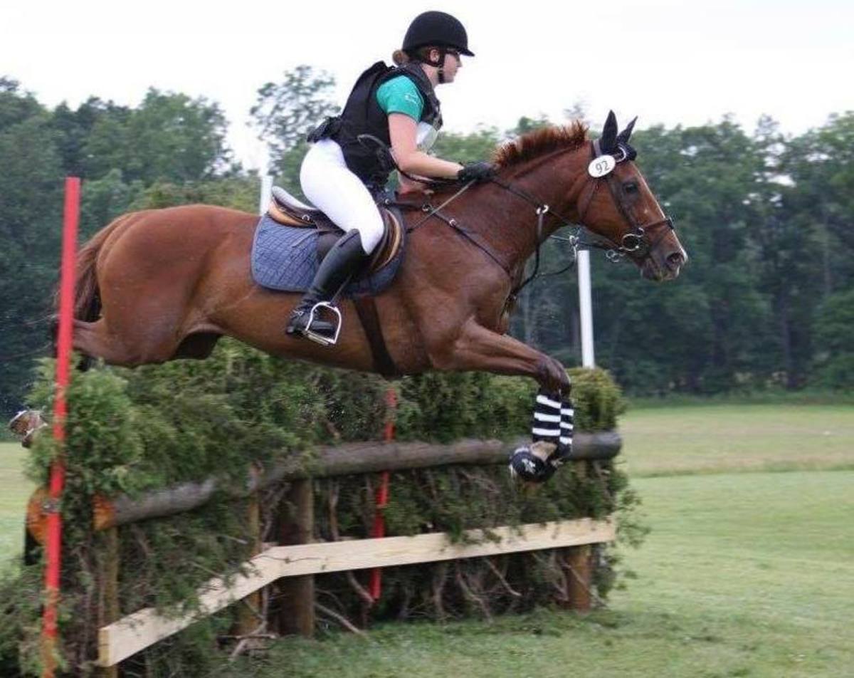 Cosequin Presents Aftercare Spotlight: Pedigree Pride And Purpose ...