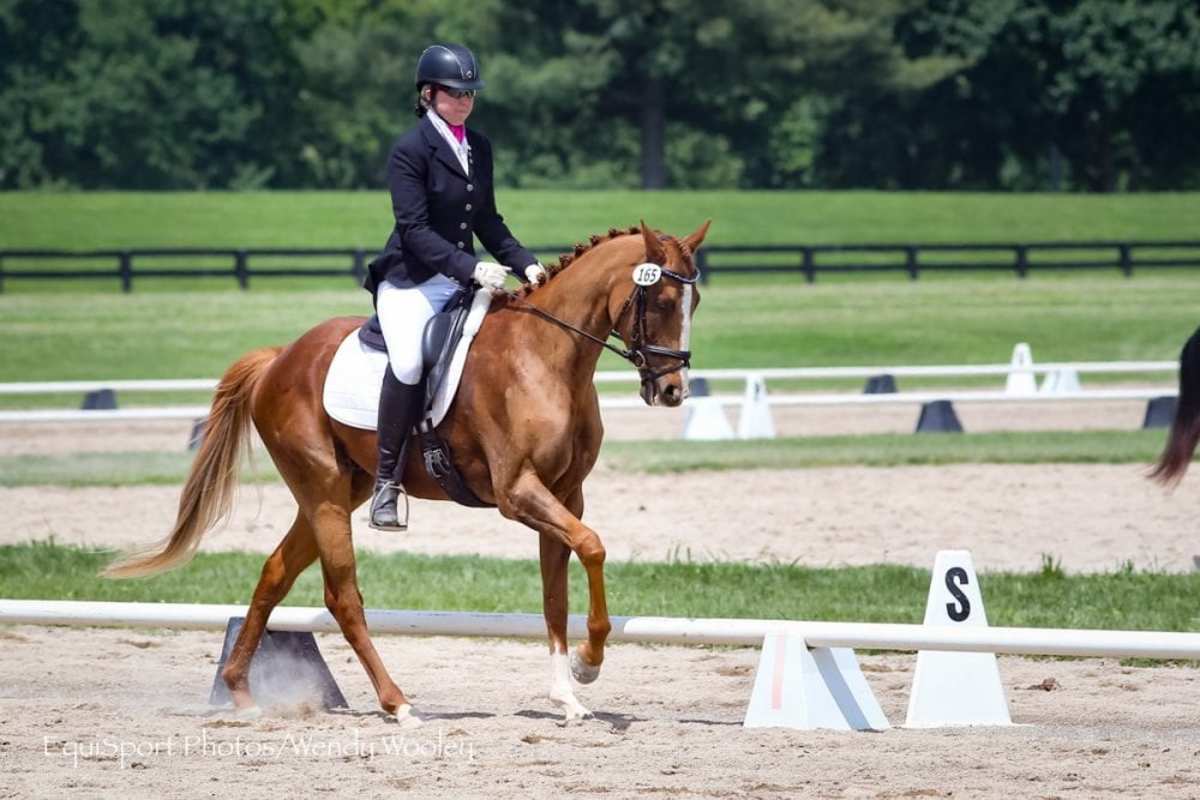 Thoroughbred Makeover Tickets Now On Sale - Paulick Report | Latest ...