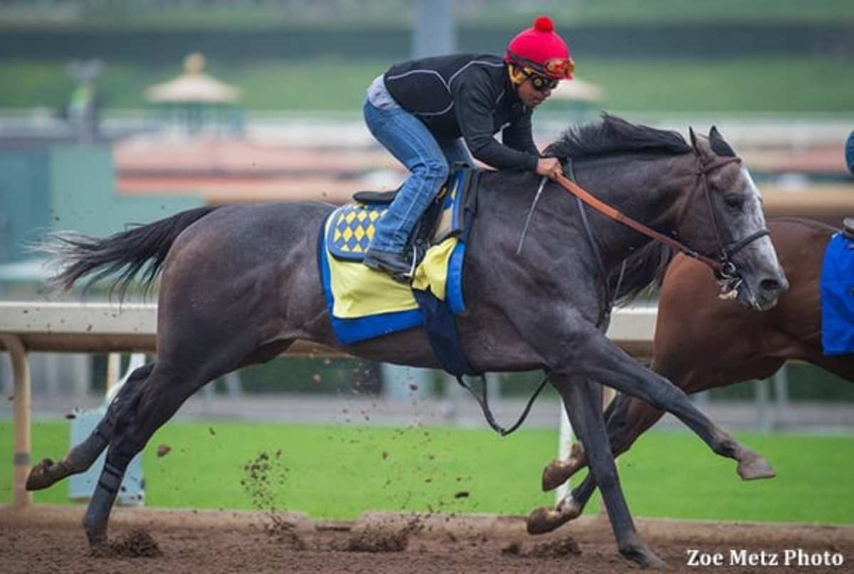 Baffert: Arrogate 'So Impressive' In Bullet Workout - Paulick Report ...