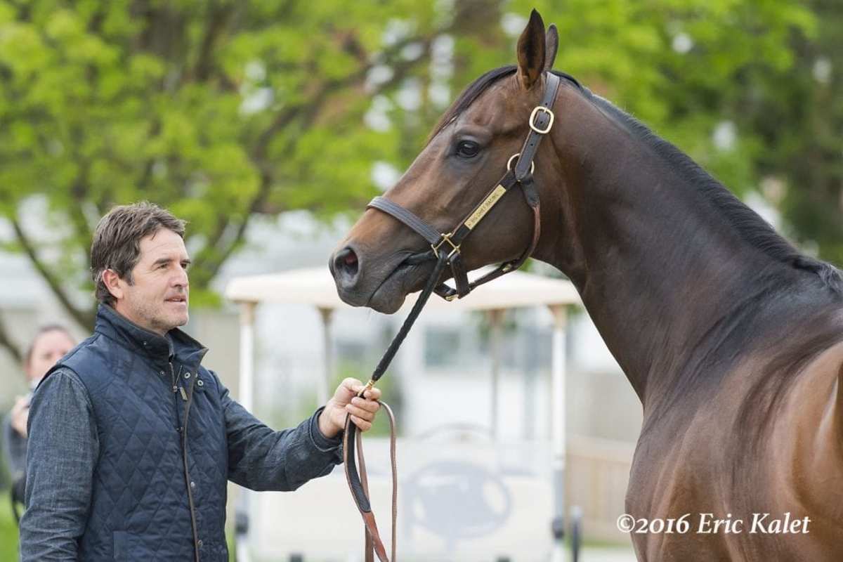 'Son Of A Gun' Desormeaux Reluctantly Enjoys Kentucky Derby Spotlight ...