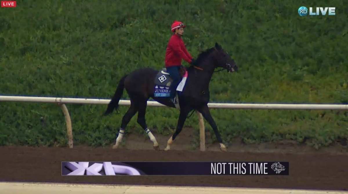 Albarado Thinking Ahead Of Juvenile With 'Athletic' Not This Time ...