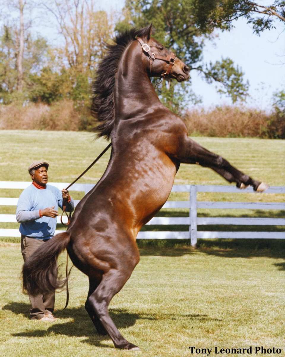 Through The Lens Of Tony Leonard: Museum Exhibit To Celebrate Work Of ...