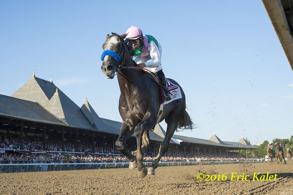 Arrogate Breezes Under The Wire Well Clear In Fastest Travers Ever ...