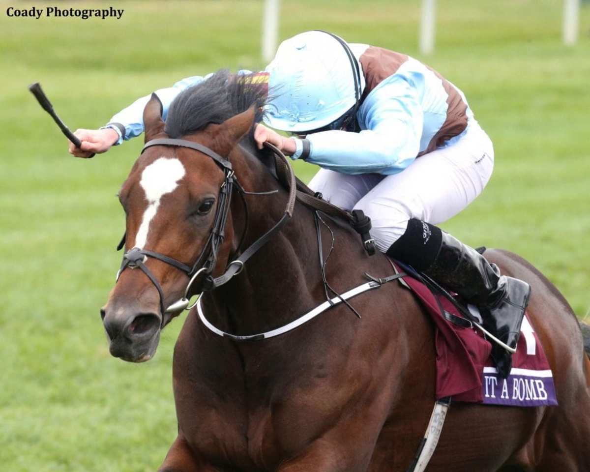 Hit It A Bomb Relocated To Stand In Uruguay - Paulick Report | Latest ...