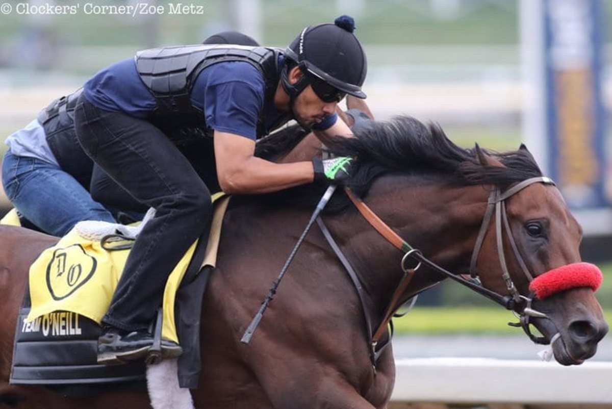 Nyquist Will Stay At San Luis Rey Until September - Paulick Report ...
