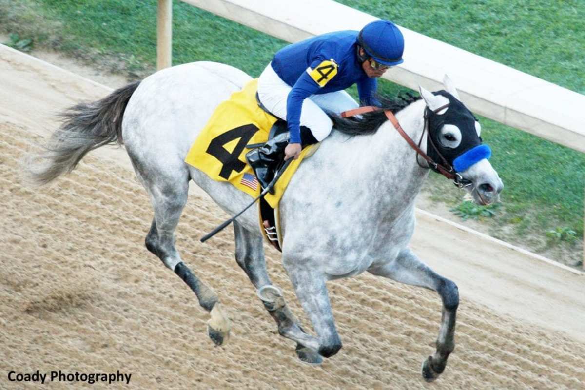 Report: Cupid To Miss Derby, Will Point To Preakness Stakes - Paulick ...