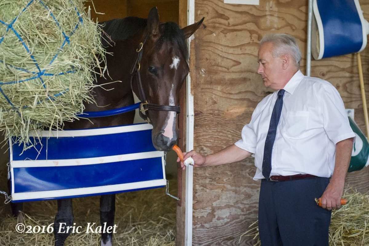 Hall Of Famer Hollendorfer Told To Vacate Stalls At Santa Anita, Golden ...