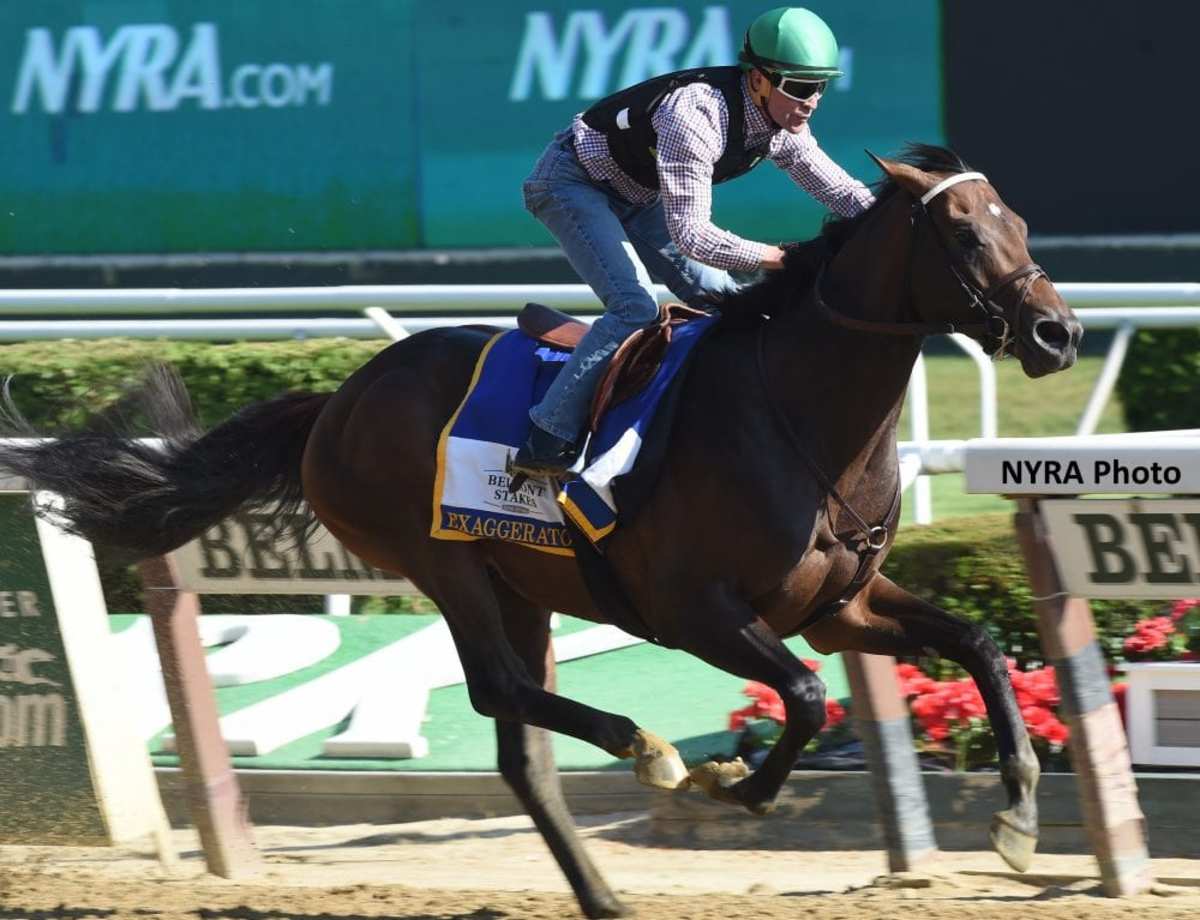 Desormeaux: Exaggerator's Strange Reaction During Work 'No Concern ...