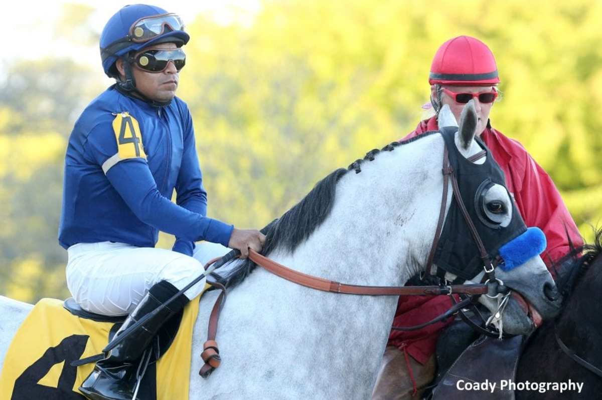 Cupid Installed As 2-1 Morning Line Favorite For Arkansas Derby ...