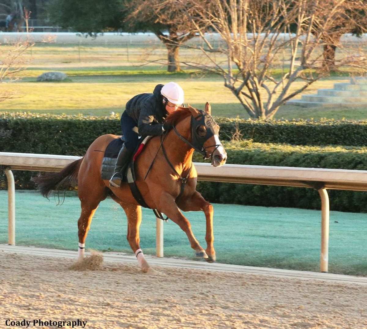 Whitmore Works For Southwest, Mike Smith To Ride - Paulick Report ...