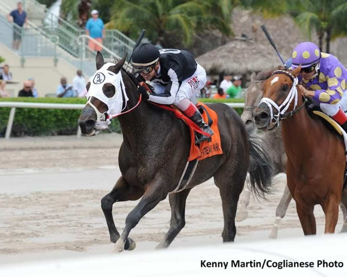 R Kinsley Doll Posts Florida Sire Double With Win In Jewel Princess ...