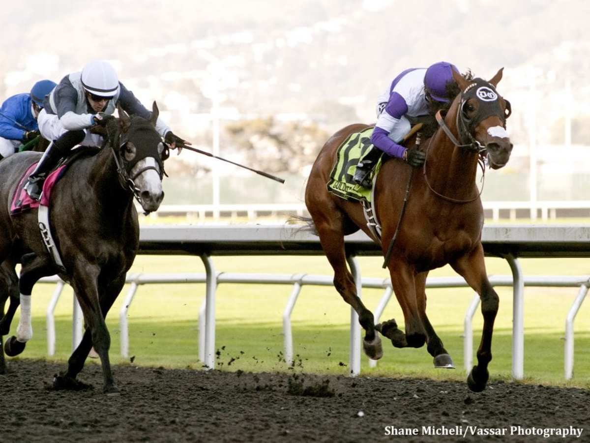 Dubai Possible Target For Frank Conversation - Paulick Report | Latest ...