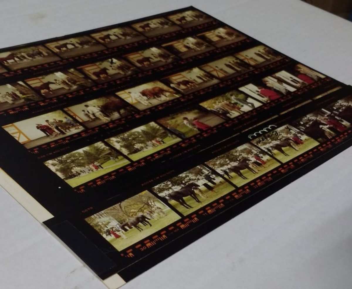 Scan By Scan, Curators Of Leonard Photography Collection Preserve ...