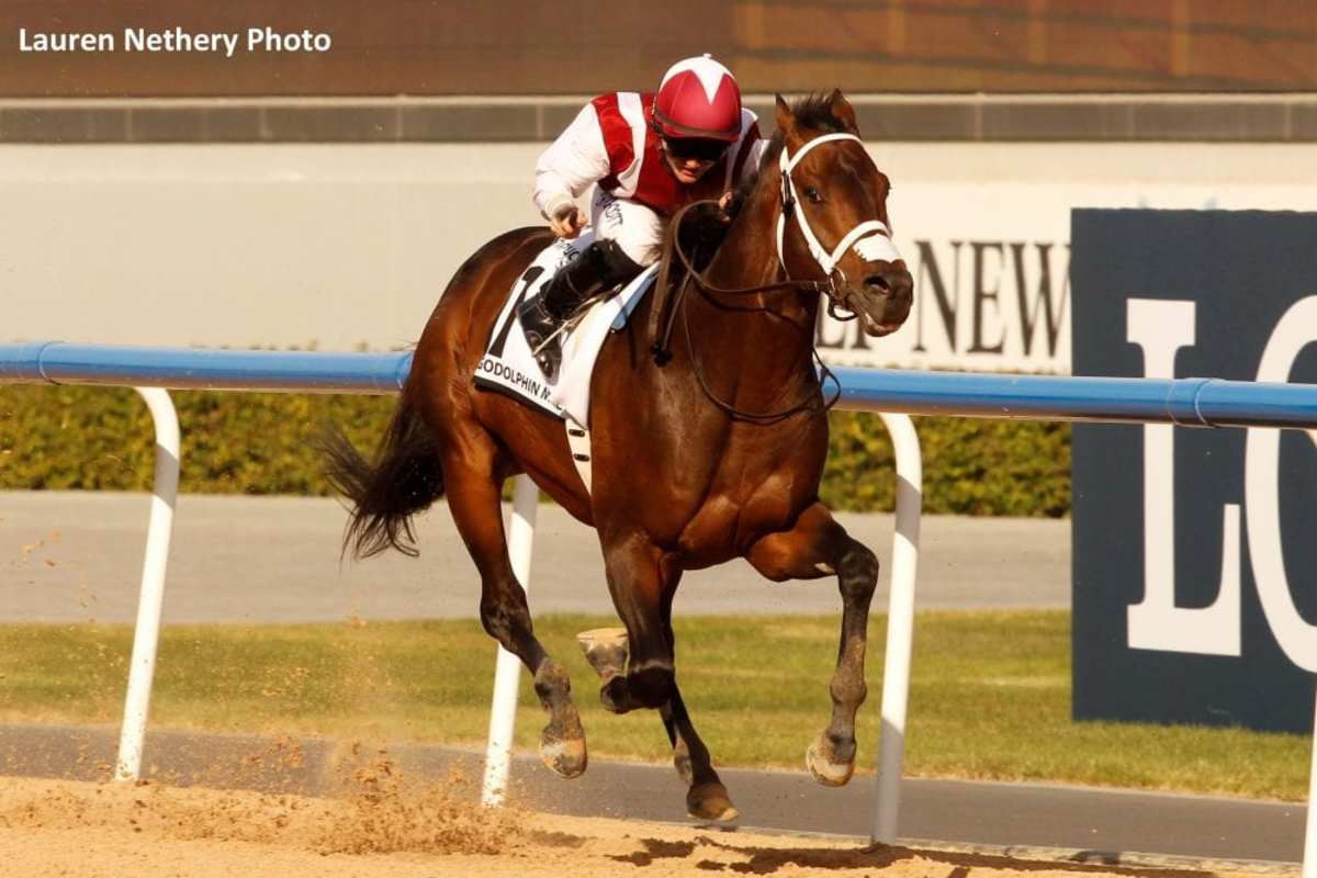 American Doug Watson Wins First Dubai World Cup Festival Race, Sweeps ...