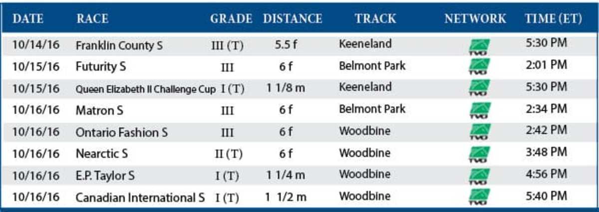 Weekend Lineup: A Big Rematch And International Challengers - Paulick ...