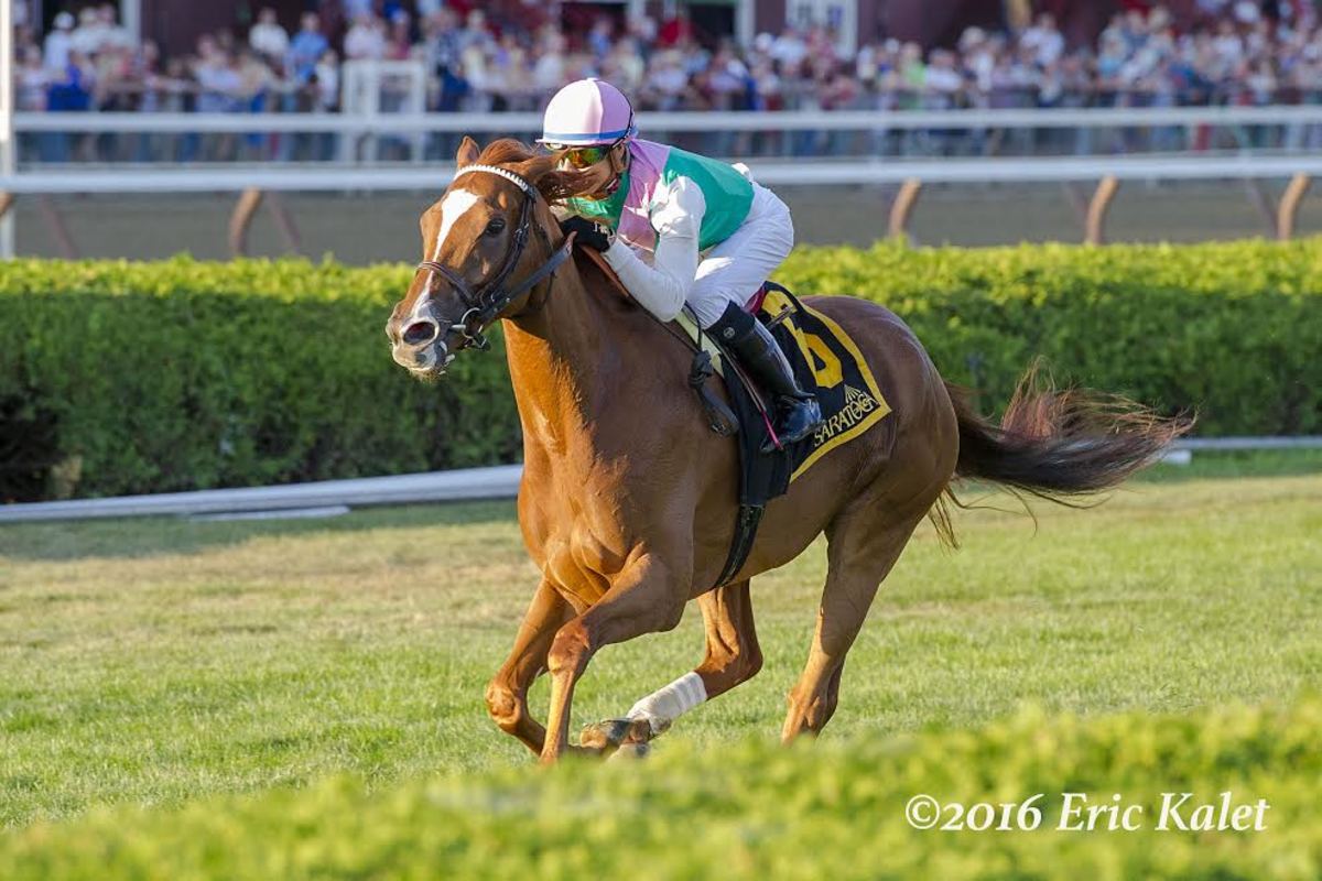 Suffused Takes Control Late In Glens Falls - Paulick Report | Latest ...