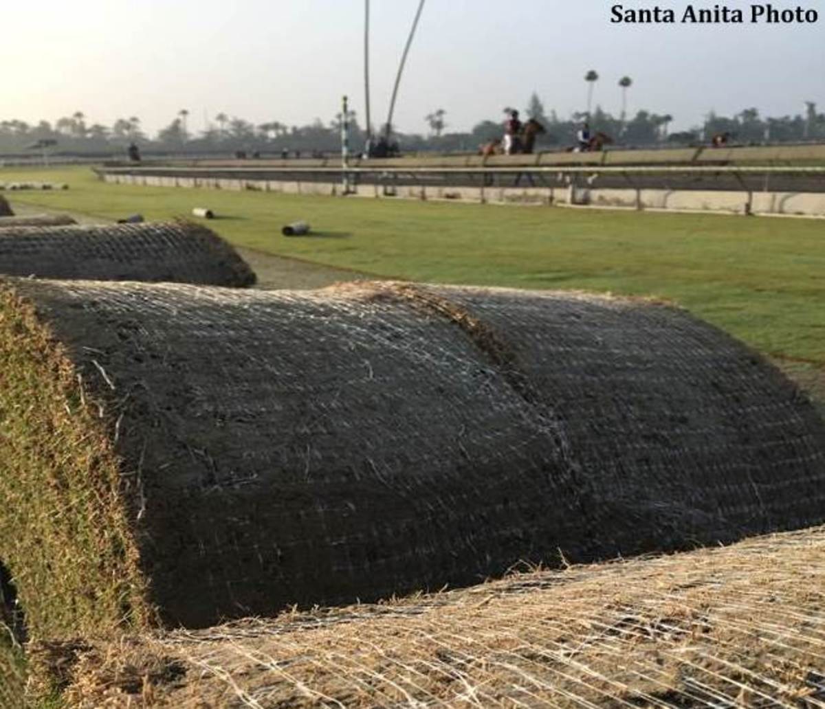 Santa Anita Completes Installation Of New Turf Course - Paulick Report ...