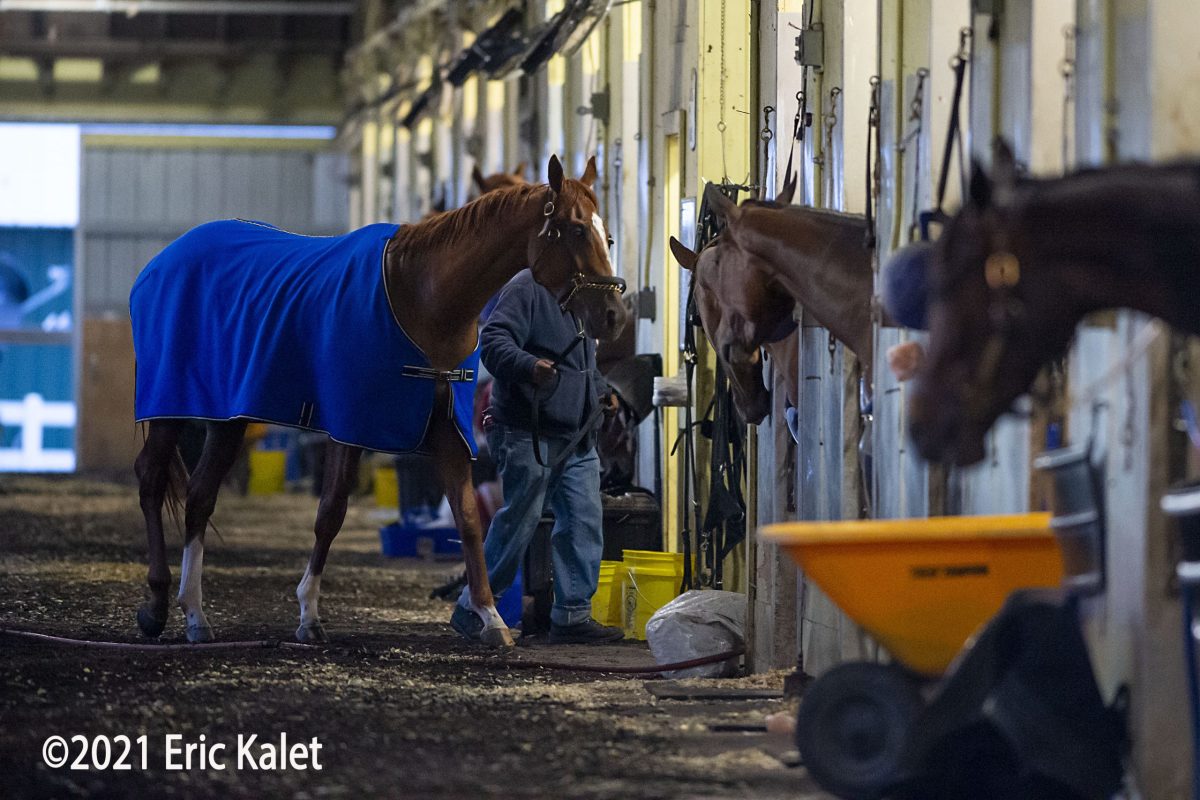 Think Before You Rake: Racetrack Horsekeeping May Not Help Respiratory ...
