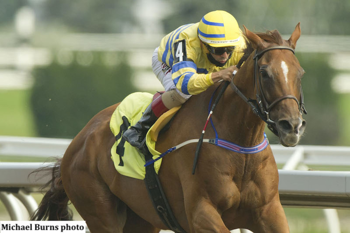 Bloodlines: A Toast To The Elder 'Stakesmen' Of Horse Racing - Paulick ...