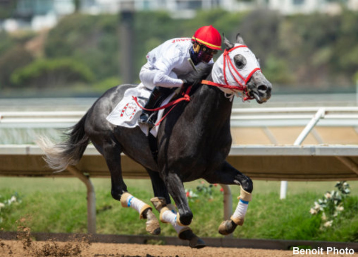 Argentine Group 1 Winner Mirinaque To Make First Start For Wesley Ward ...