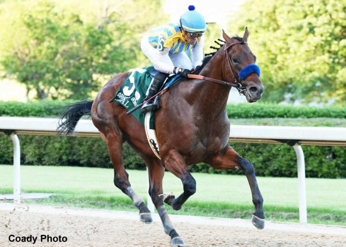 Baffert Plans For Undefeated Nadal, Charlatan To Clash In June 20 ...