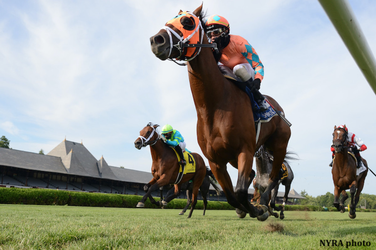 Bloodlines: Somelikeithotbrown And The Burden Of Expectations - Paulick ...