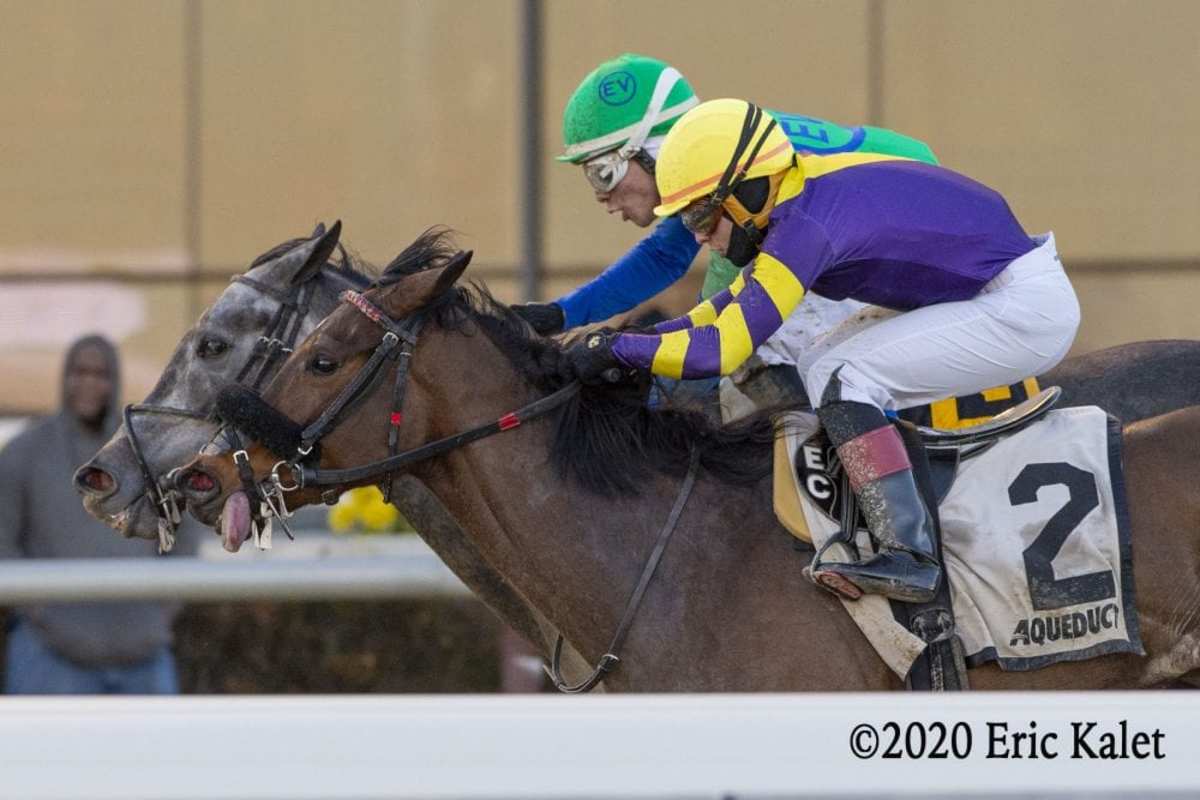 Water White Just Up To Score Oaks Points In Busher - Paulick Report ...