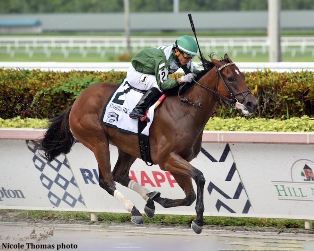 Breeze On By, Gatsby Prep For Rematch In Florida Sire Stakes Affirmed ...