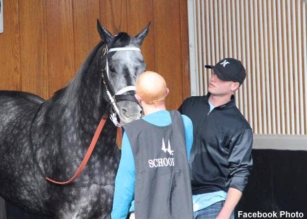 Trainer Matt Shirer Continues 'To Make A Positive Impression' At Fair ...