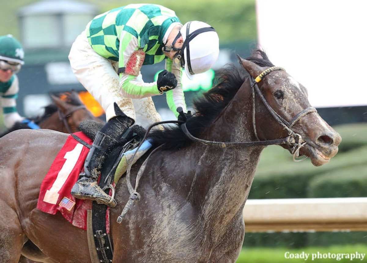 Bloodlines Presented By Mill Ridge Farm: Kimari Builds The Legend Of ...