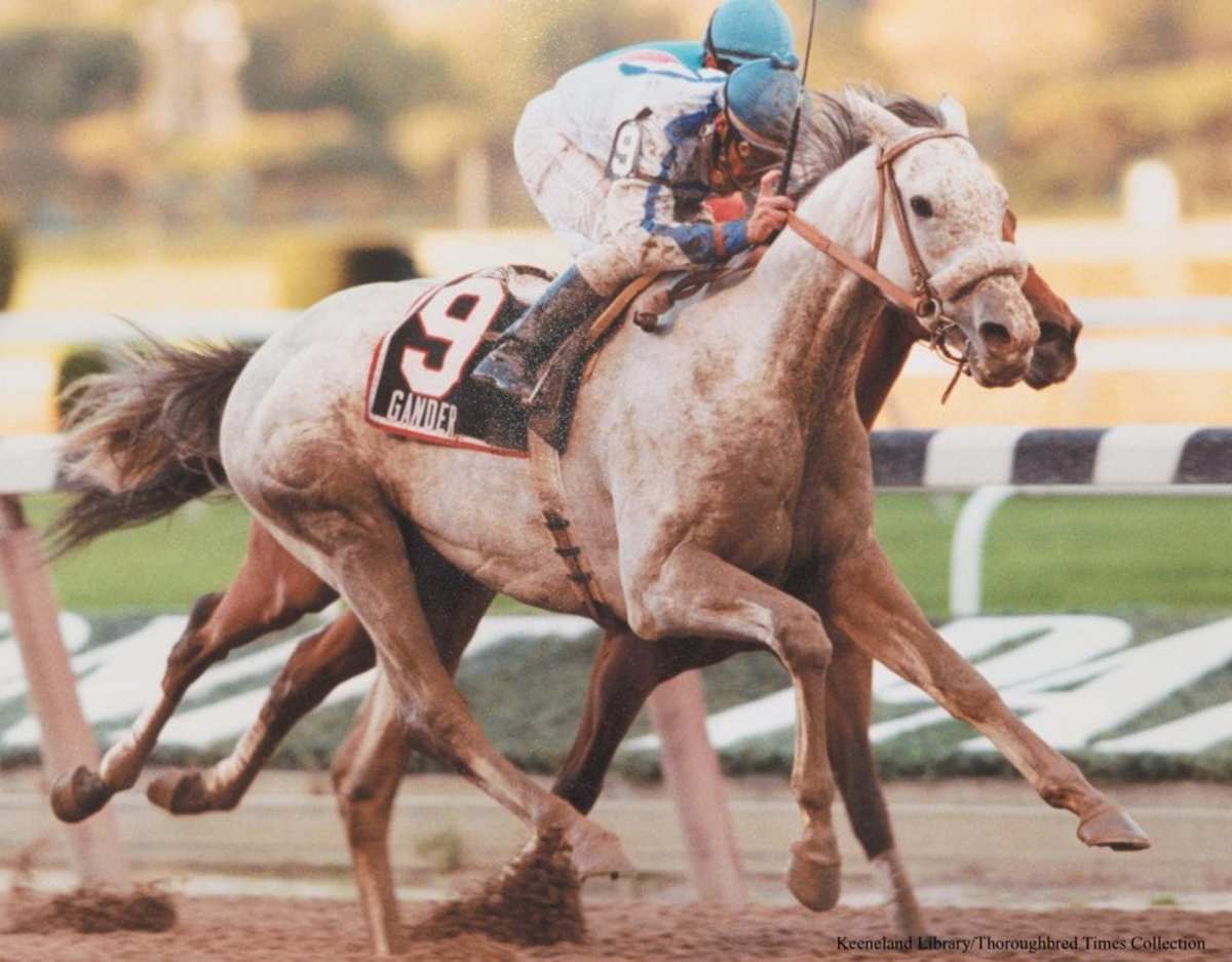 At Age 24, Four-Time New York Champion Gander Is Living The Good Life ...