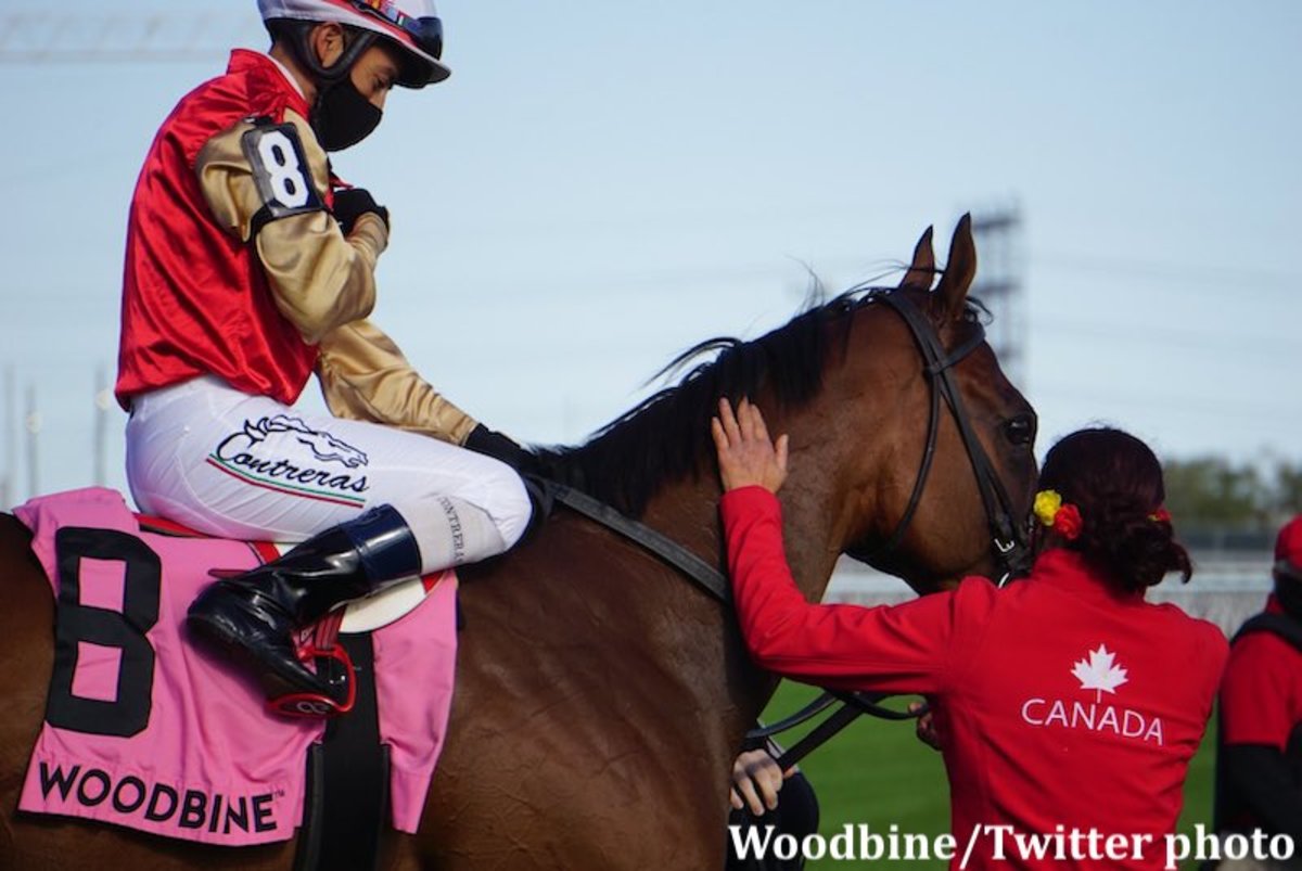 Singspiel Winner Count Again Headlines Sunday's Northern Dancer Turf ...