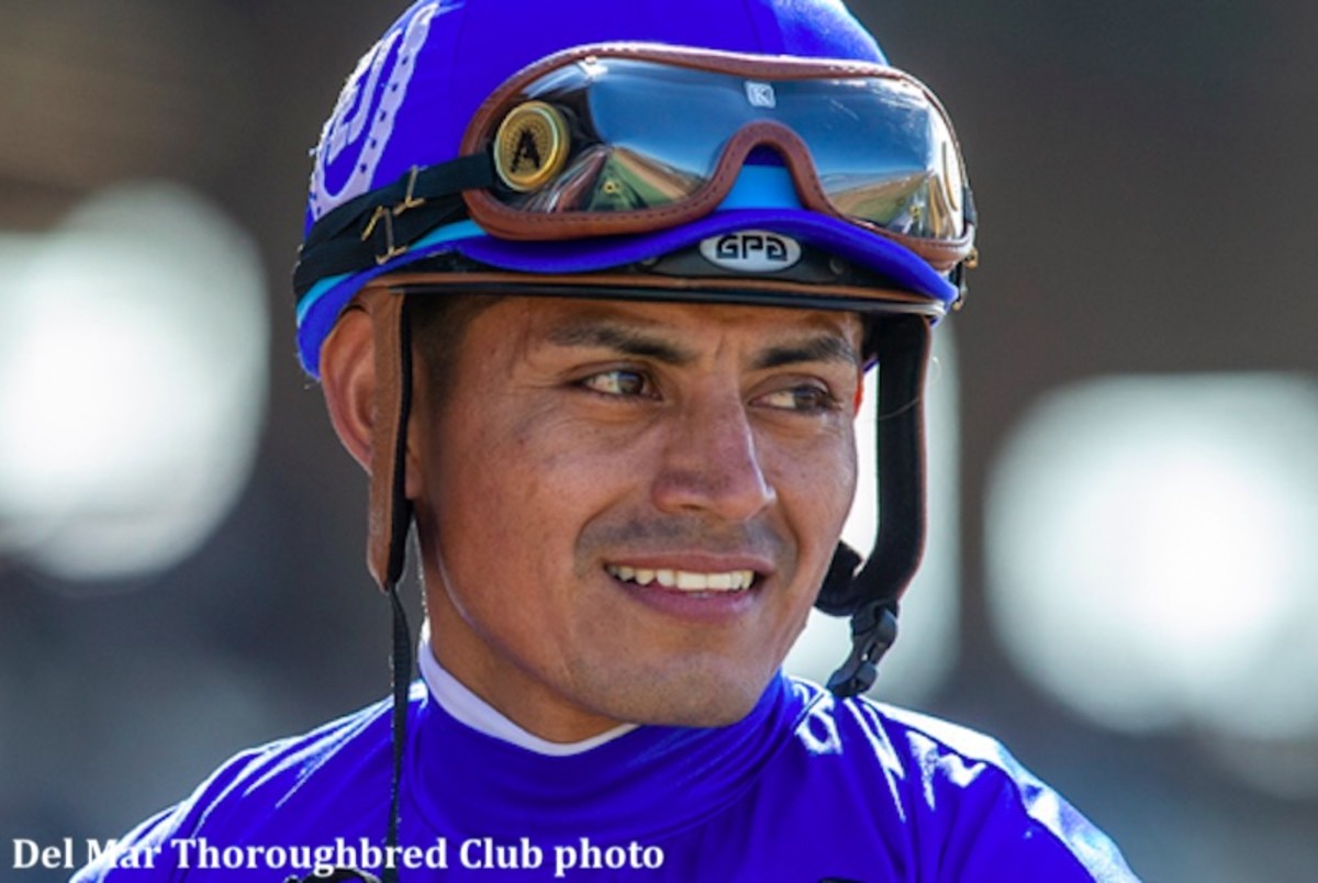 CHRB Stewards Outline 'Safety And Response Concerns' Over Cedillo ...