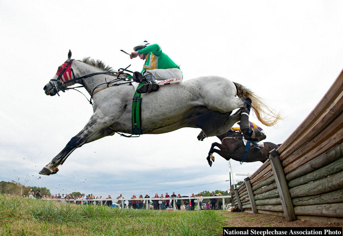 National Steeplechase Association To Livestream Saturday's Races From ...