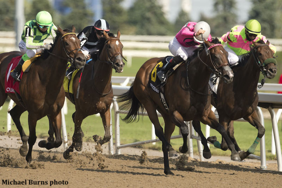 Two Sixty Gives Casse-Barber Team Third Straight Selene Triumph ...