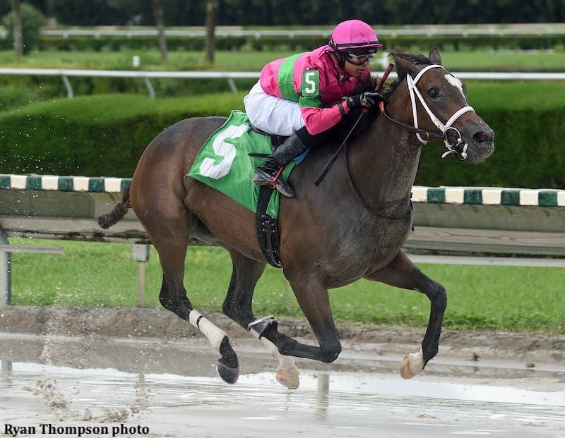 Rachel Alexandra's Full Sister Gladys Wins Maiden Race At 11-1 ...