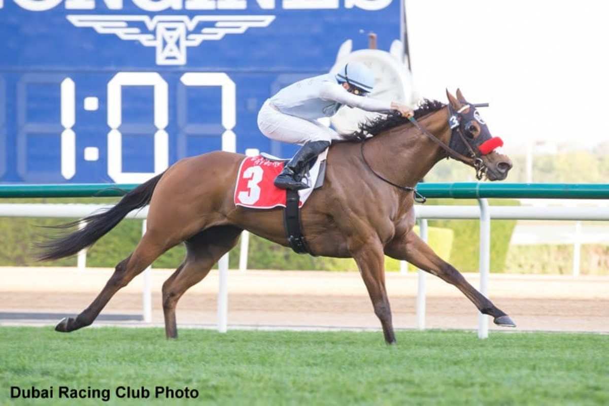 O'Neill-Trained Wildman Jack Sets Turf Sprint Course Record In Dubai ...