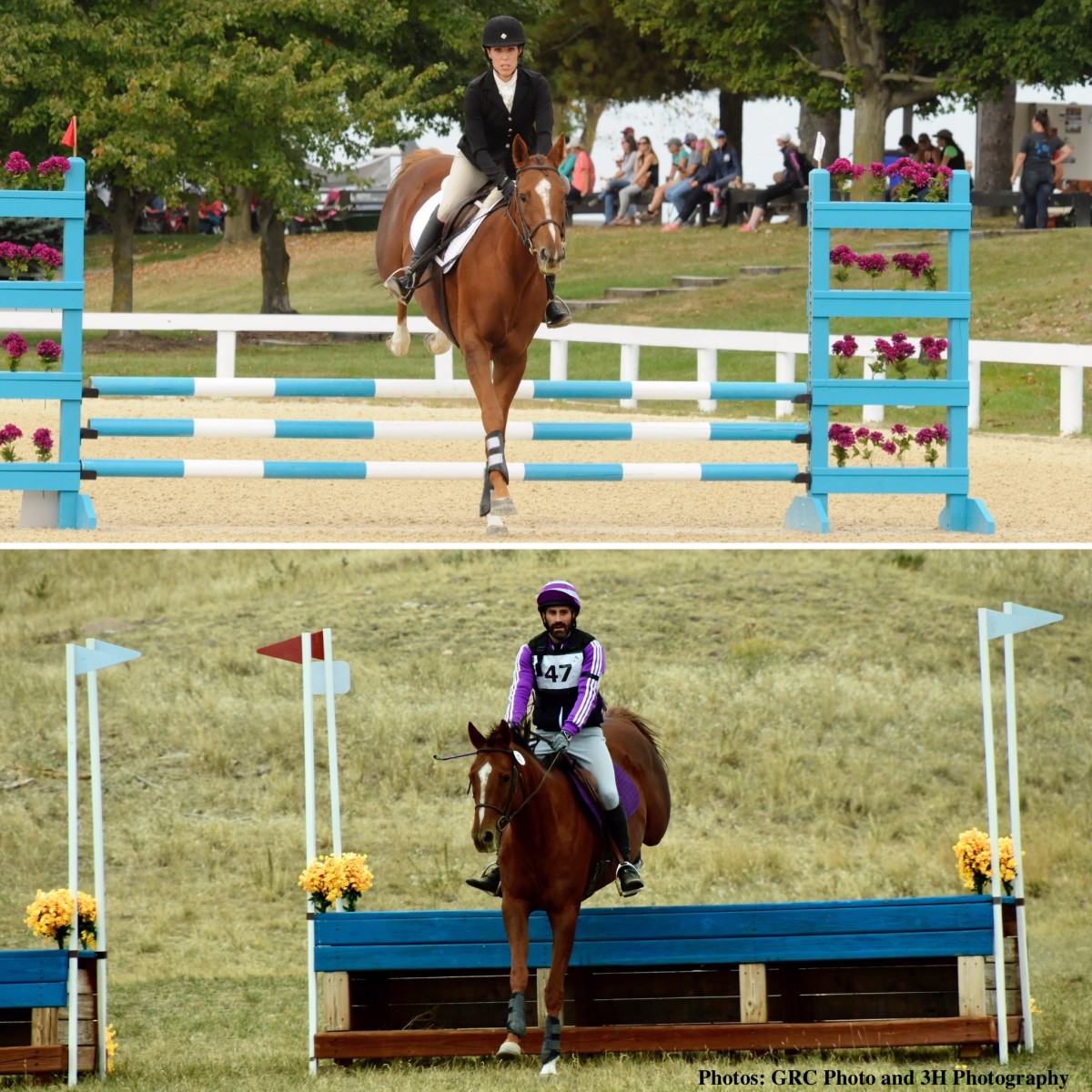 Thoroughbred Makeover Diaries Presented By Excel Equine: What It Takes ...
