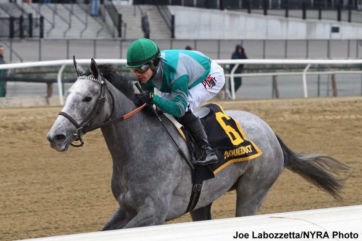 Pharoah Filly Harvey's Lil Goil Scores Oaks Points With Runaway Busanda ...