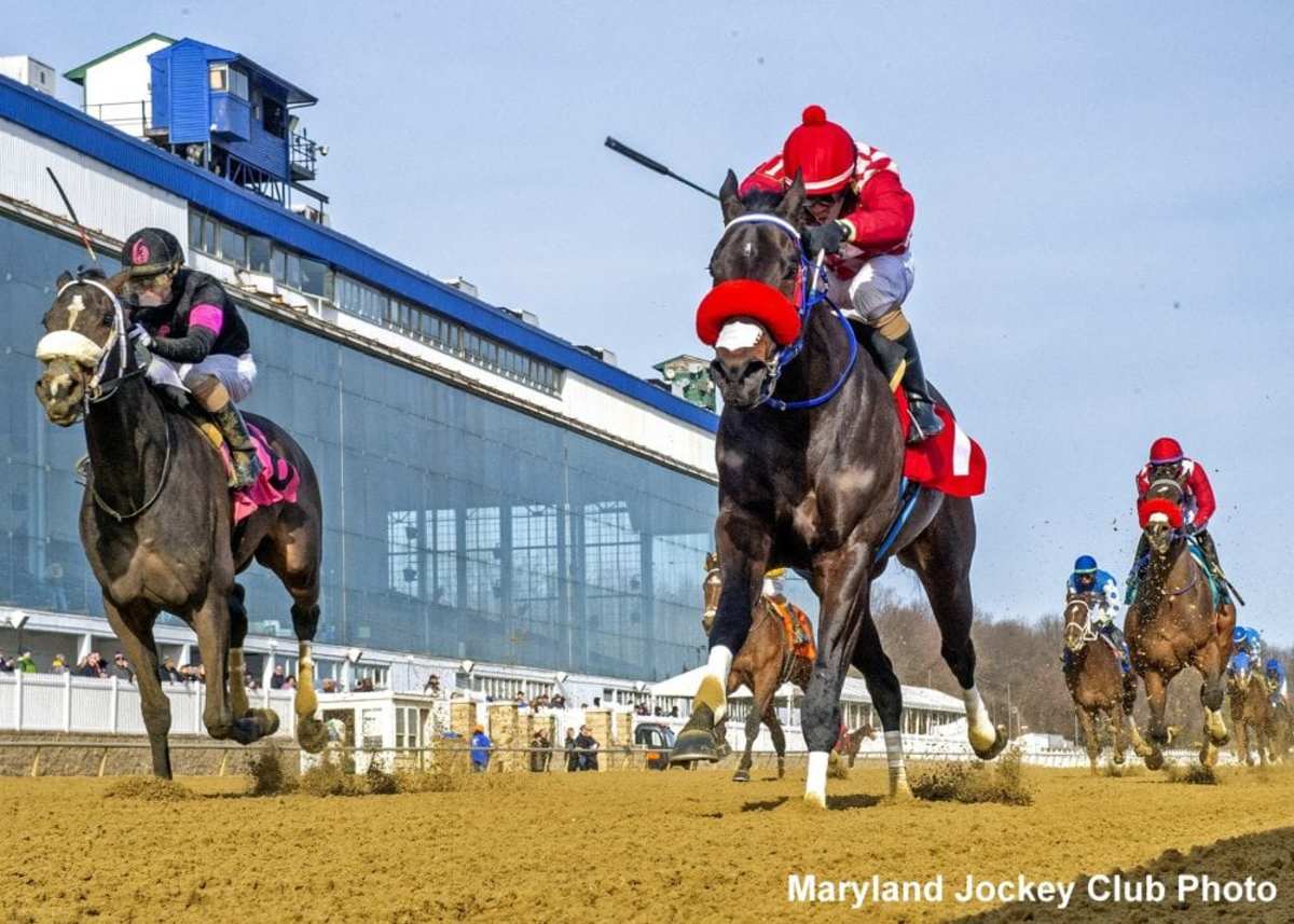 Maryland: Gonzalez' Sophomore Stakes Winners Will Be 'Ready When They ...