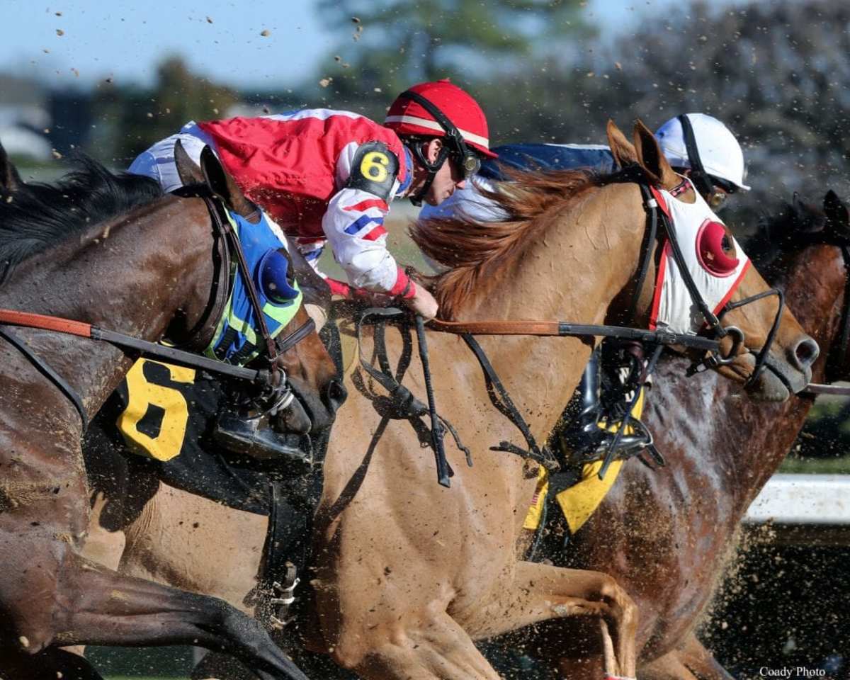 Del Mar And Santa Anita Prioritize Equine Safety With Shuttling Program ...